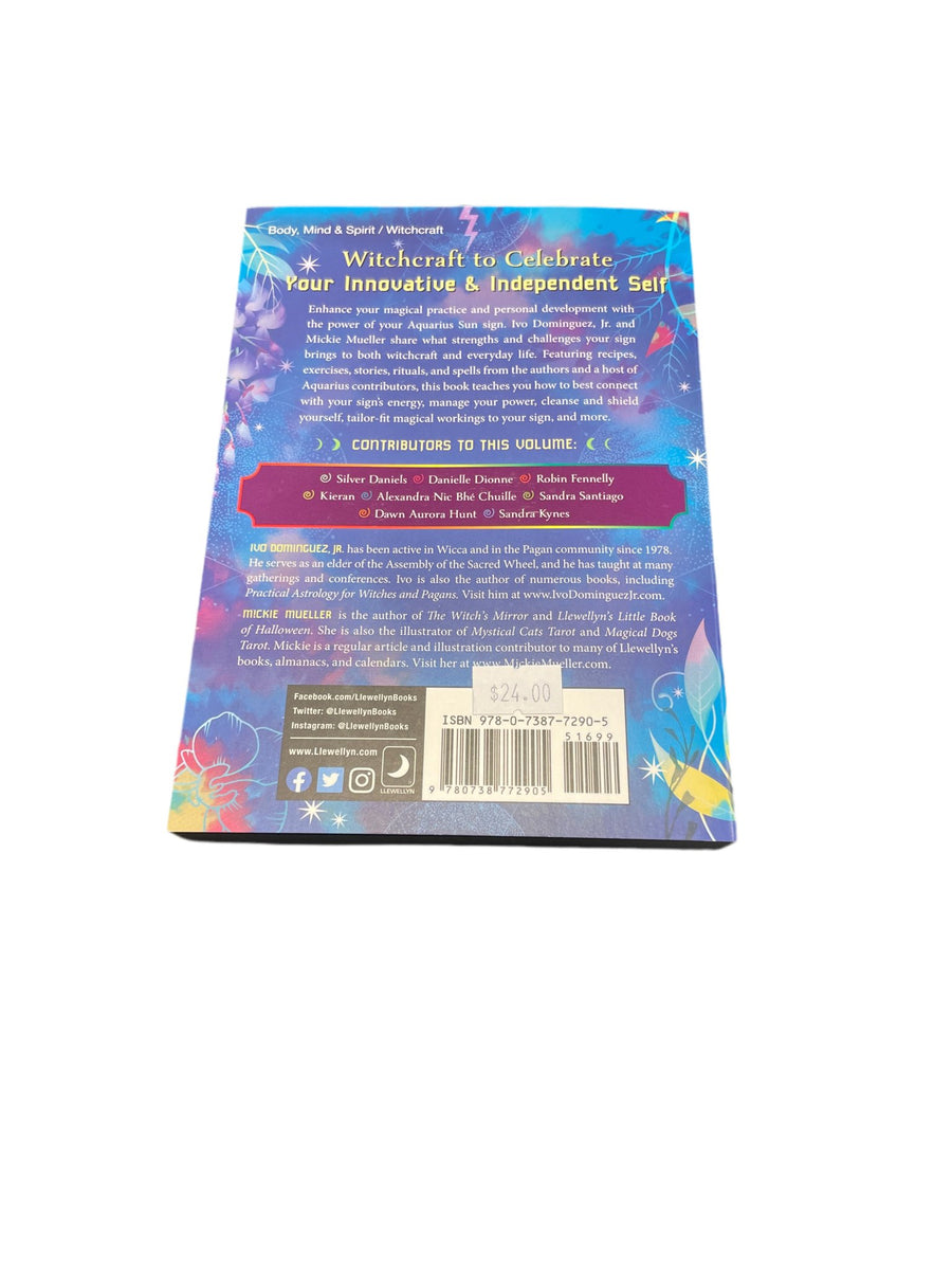 Aquarius Witch By Ivo Dominguez JR & Mickie Mueller – Witch Chest