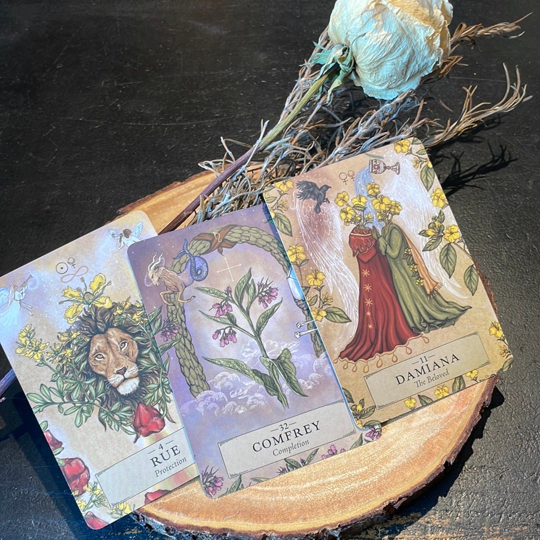 The Herbal Astrology Oracle By Adriana Ayales – Witch Chest