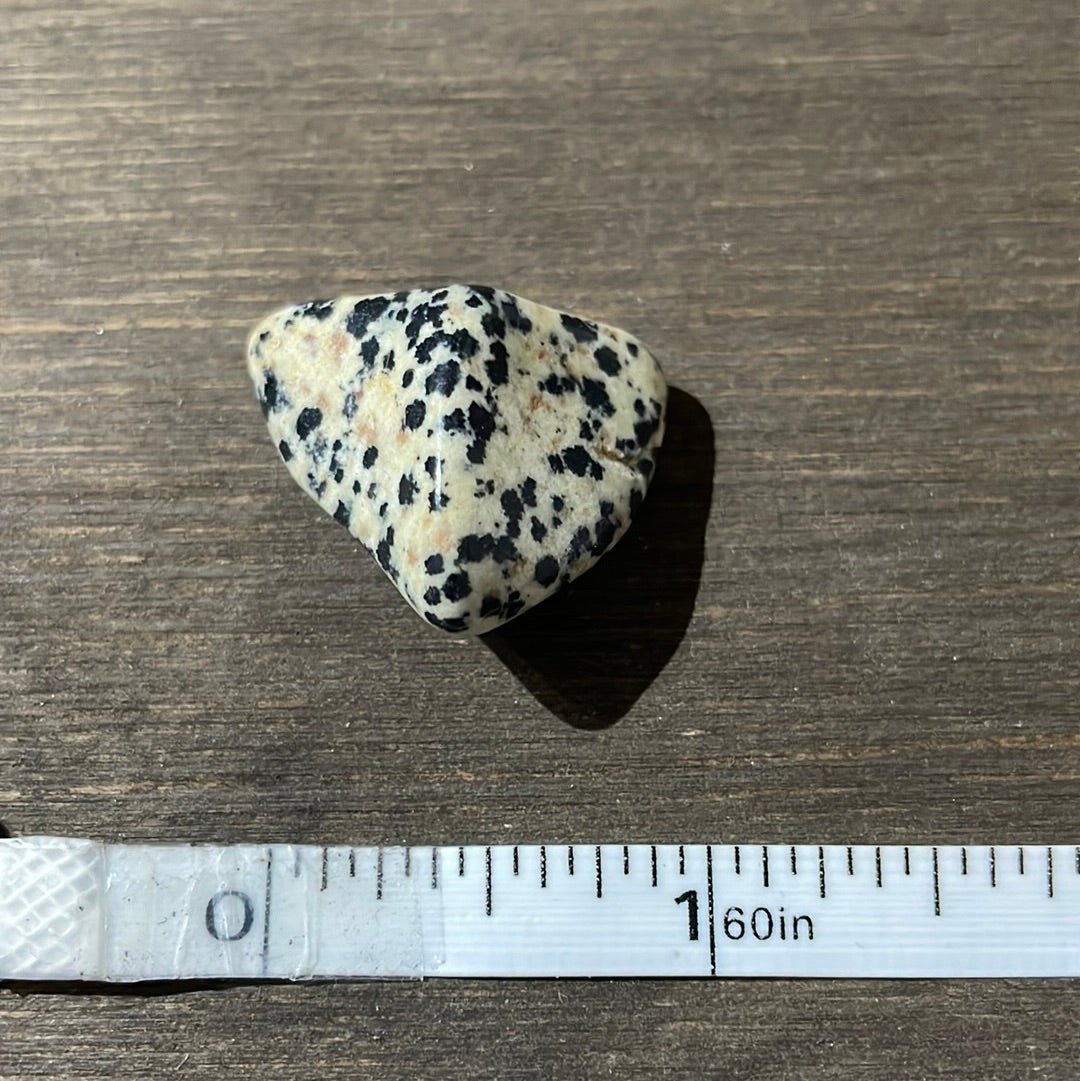 Dalmatian Jasper - Mexico – Witch Chest