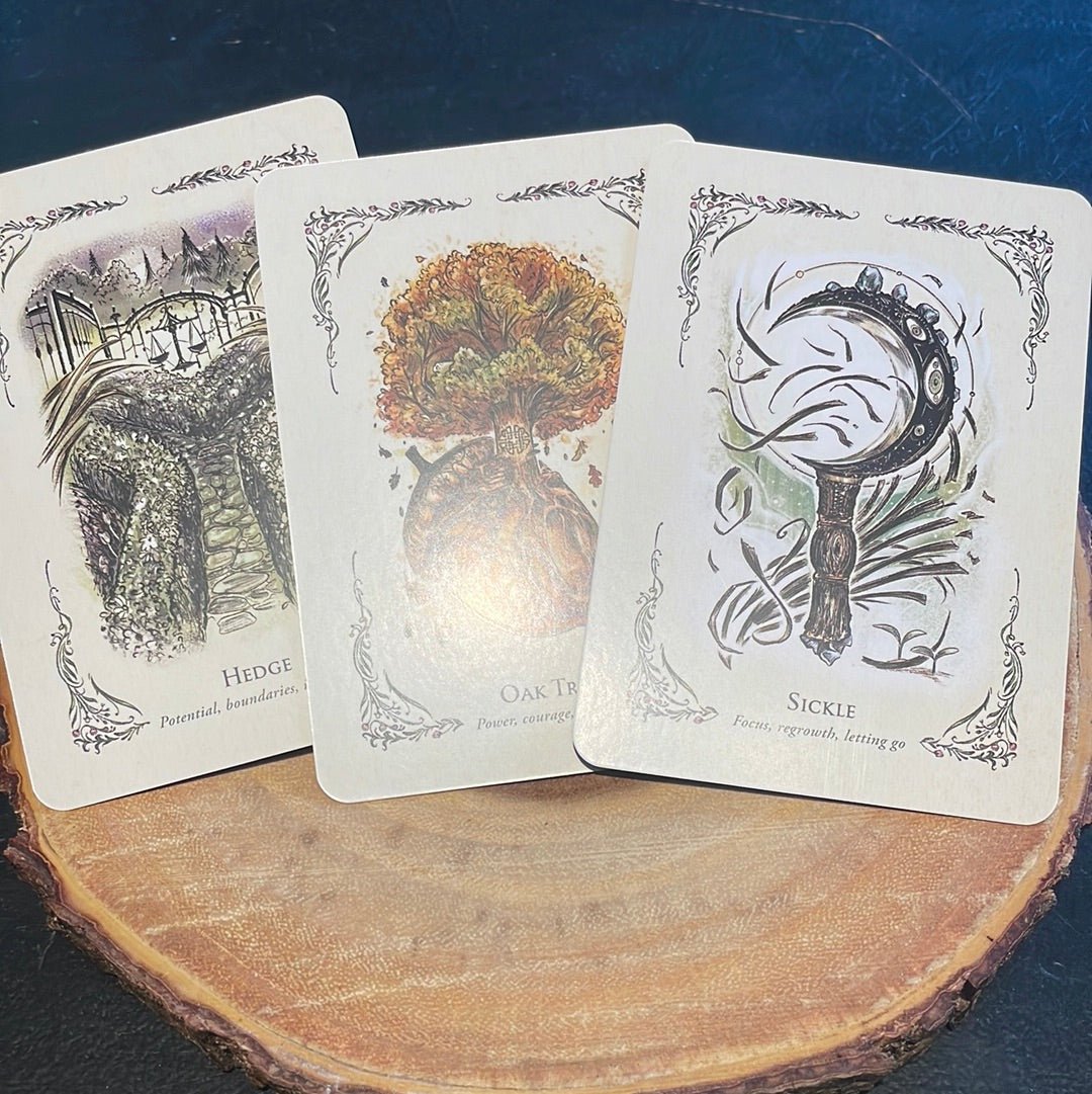 The Green Witch Oracle Deck By Arin Murphy-Hiscock – Witch Chest