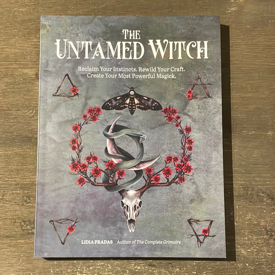The Untamed Witch Book By Lidia Pradas – Witch Chest